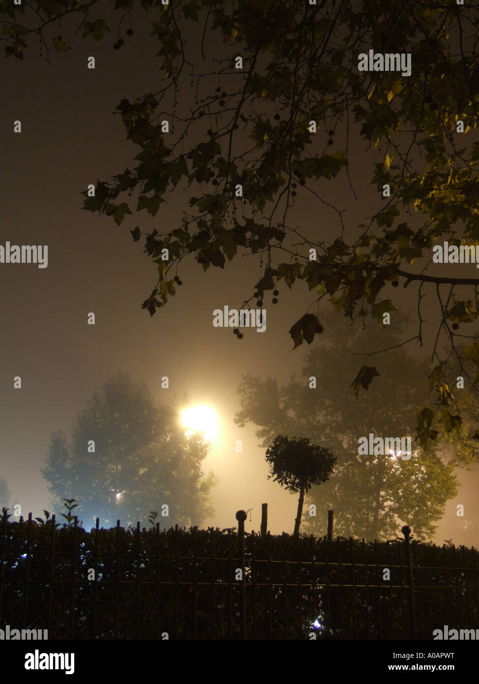 Row street lights fog hi-res stock photography and images - Alamy