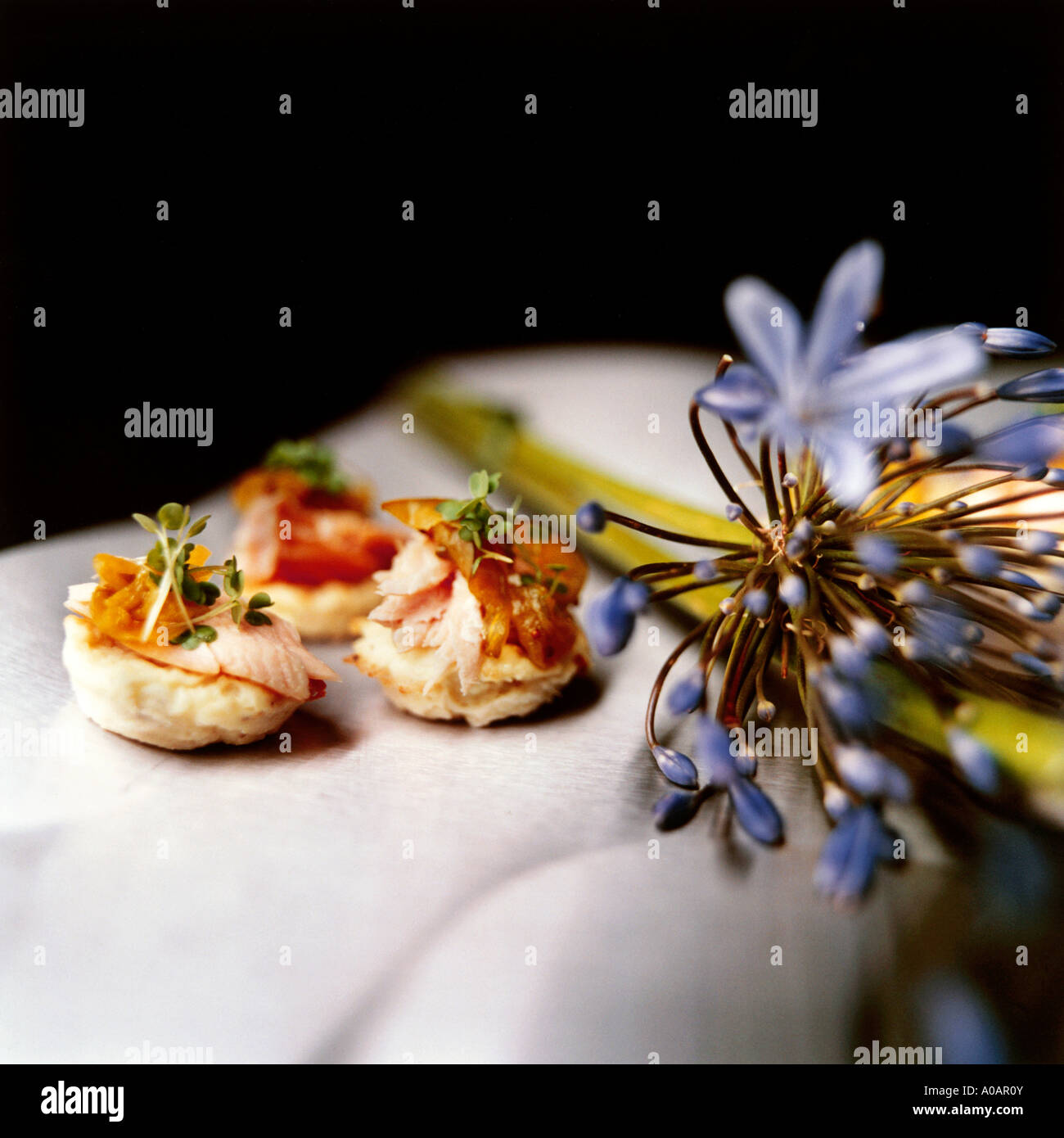 Canape cases hi-res stock photography and images - Alamy