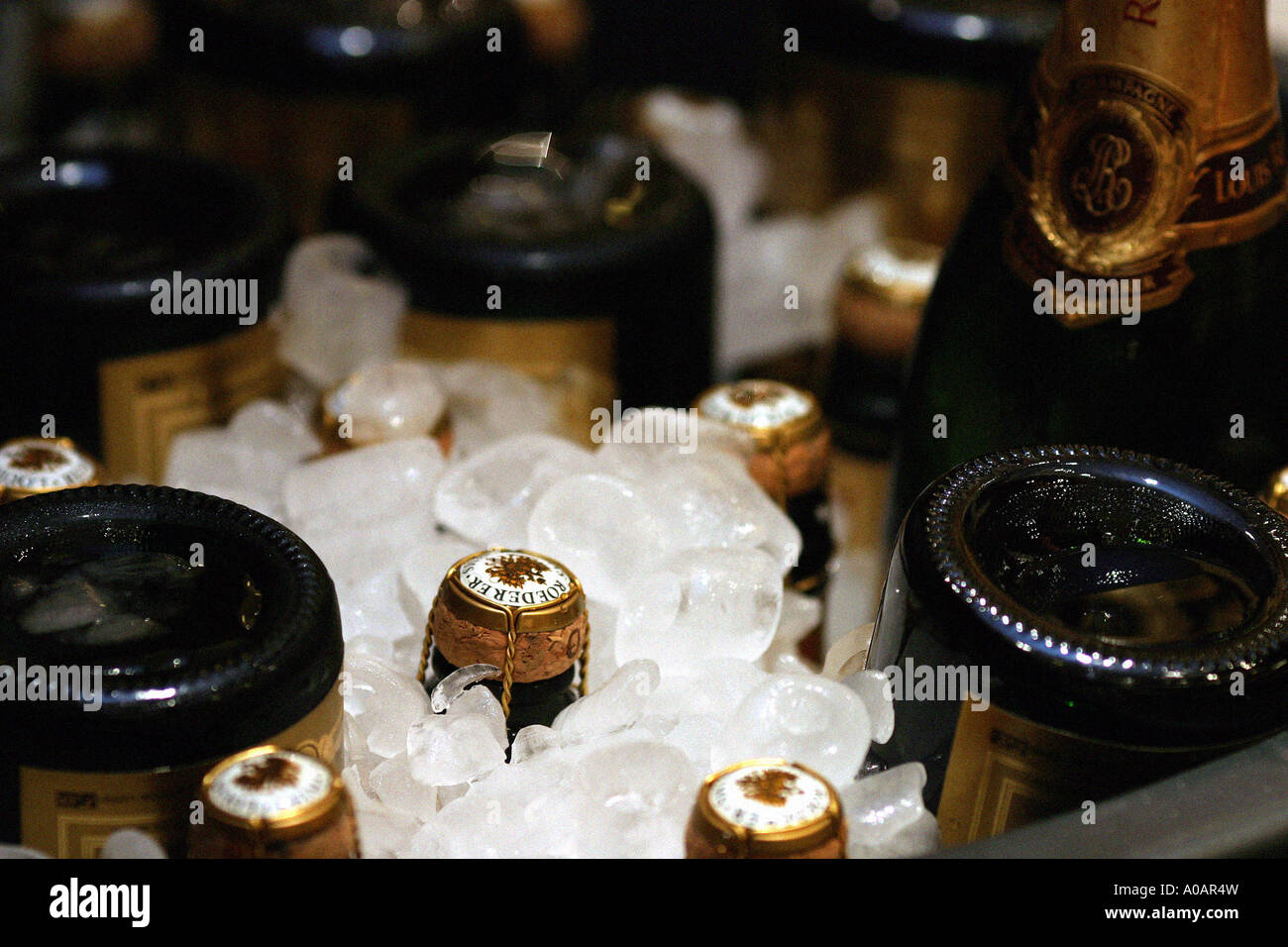 Bottles of Champagne on ice Stock Photo - Alamy