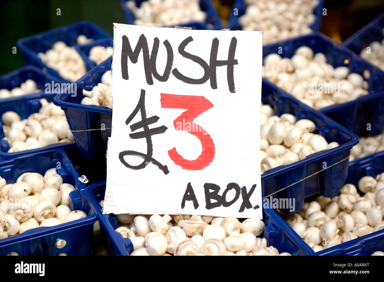 Fresh mushrooms on market stall Stock Photo - Alamy