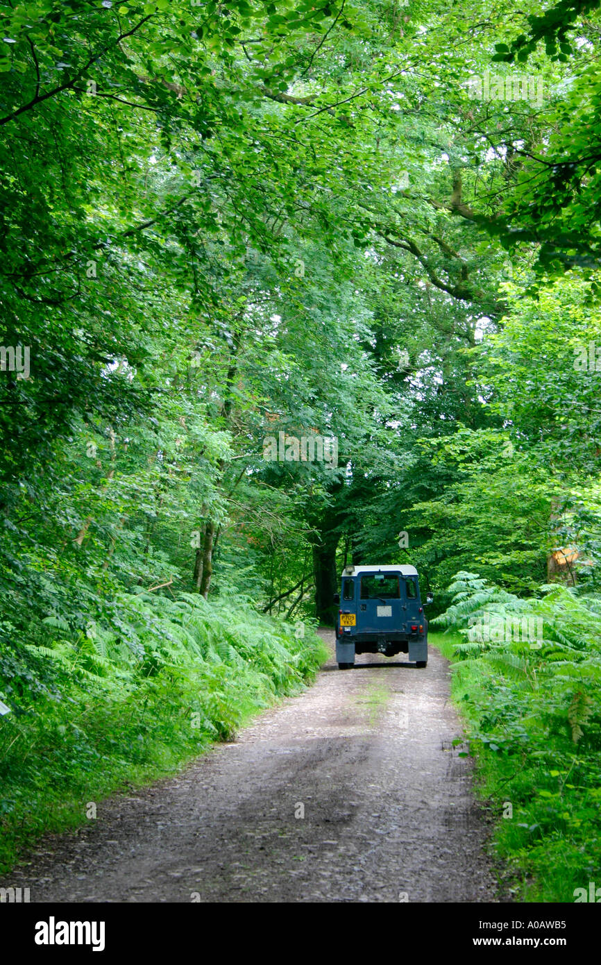 Rural forest pathway secluded track hi-res stock photography and images ...