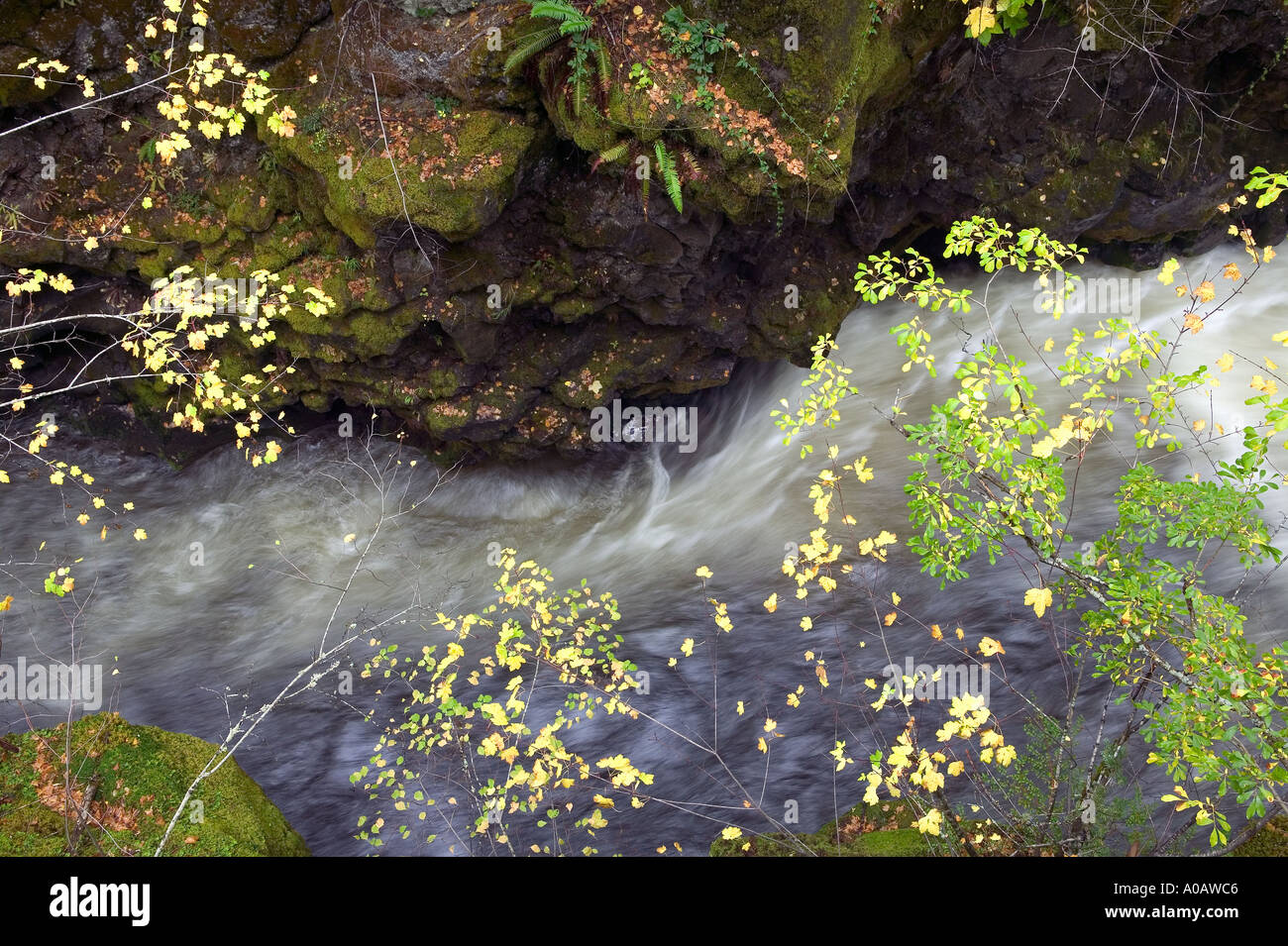 Rogue river gorge hi-res stock photography and images - Alamy