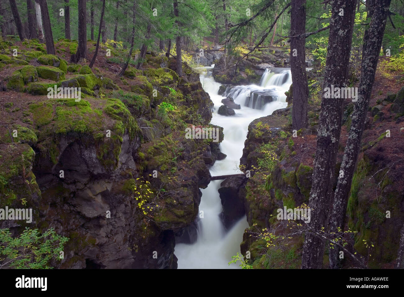 Upper rogue river hi-res stock photography and images - Alamy