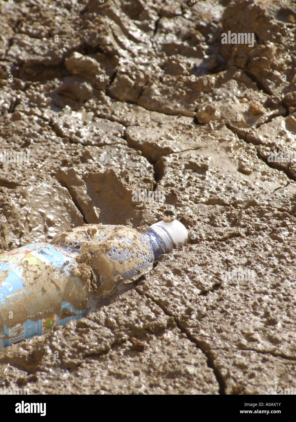 plastic water bottle stuck in mud Stock Photo - Alamy