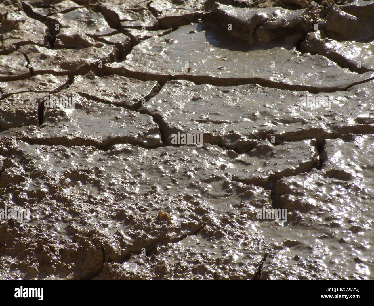 Quicksand danger quick sand hi-res stock photography and images - Alamy