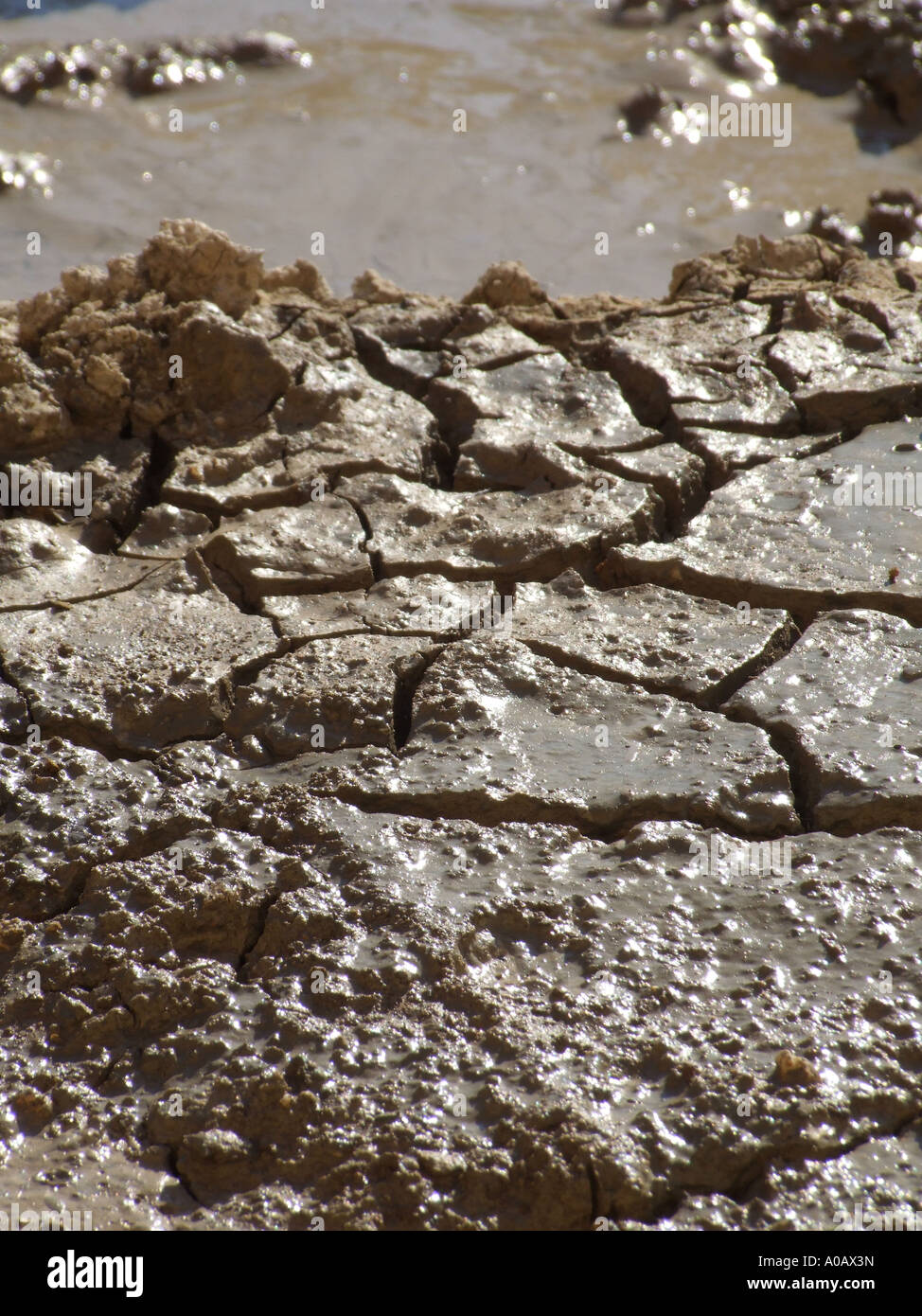 Field of quicksand hi-res stock photography and images - Alamy