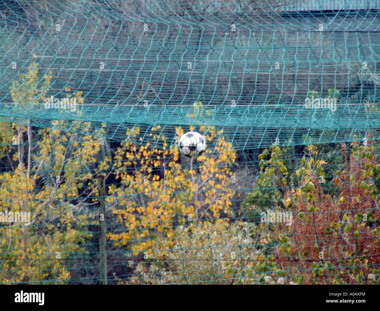 Ball stuck roof hi-res stock photography and images - Alamy