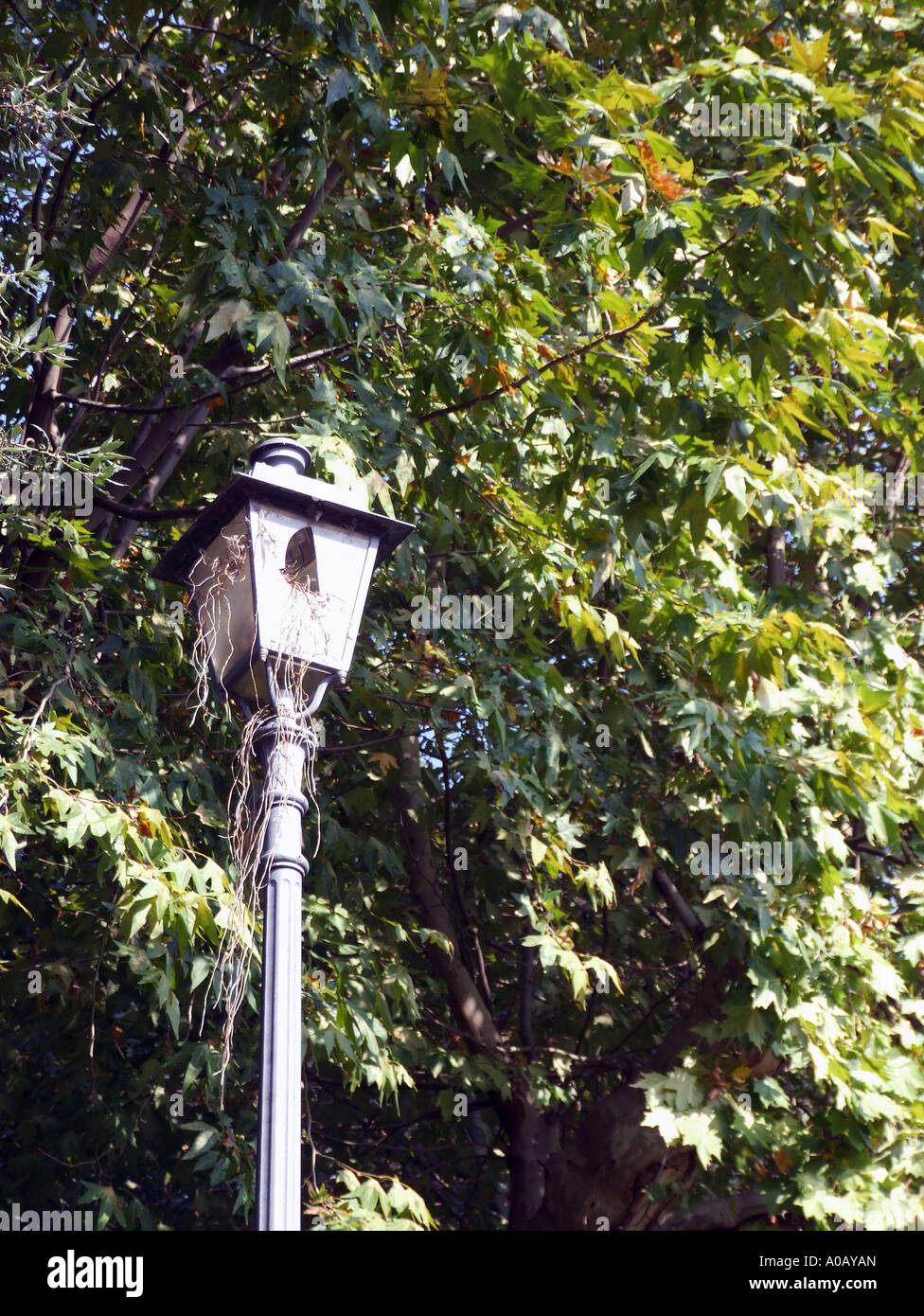 damaged street lamp Stock Photo - Alamy