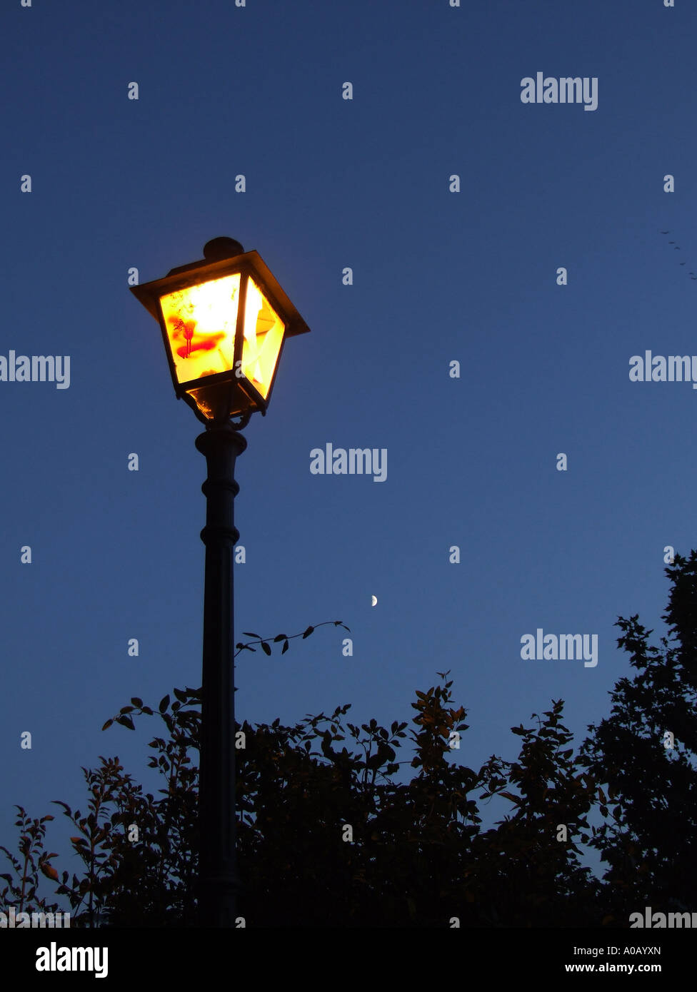one street lamp at night Stock Photo - Alamy