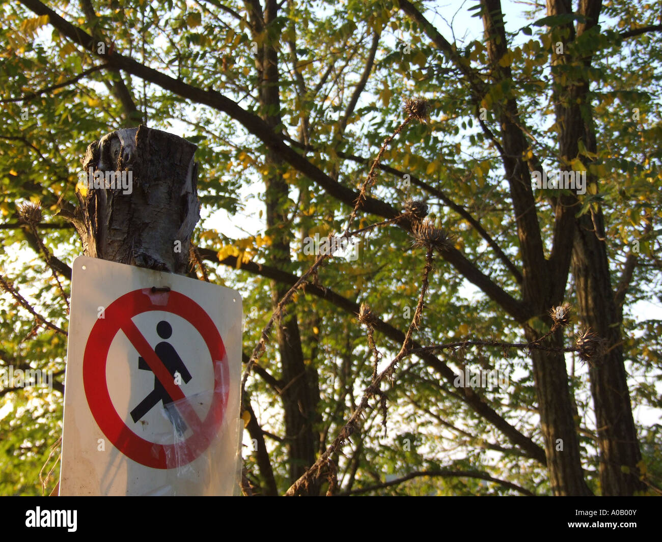 no entry sign in country Stock Photo - Alamy