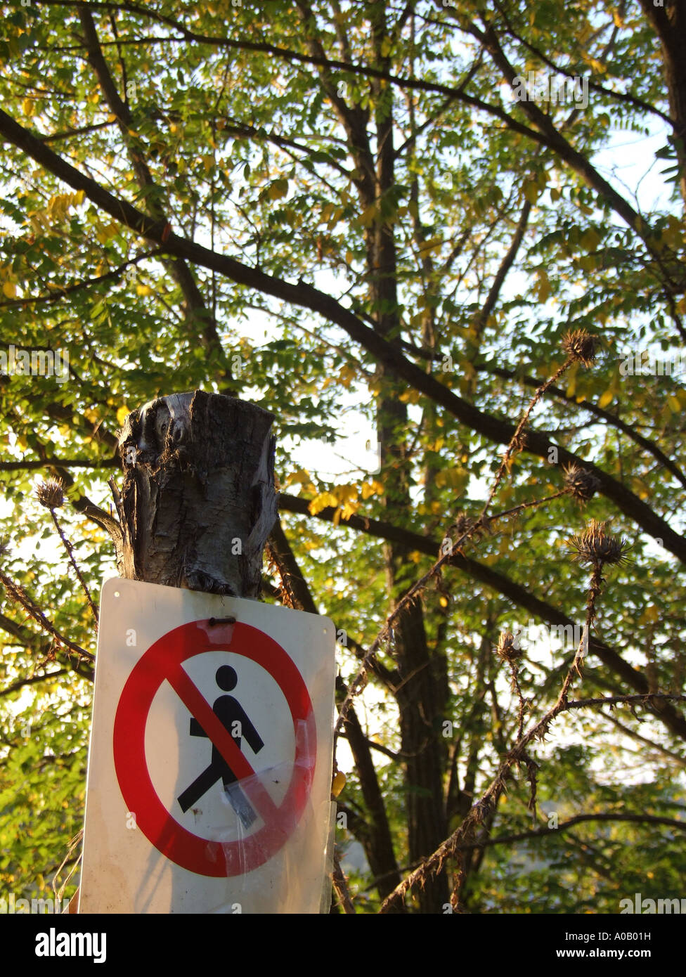 no entry sign in country Stock Photo - Alamy