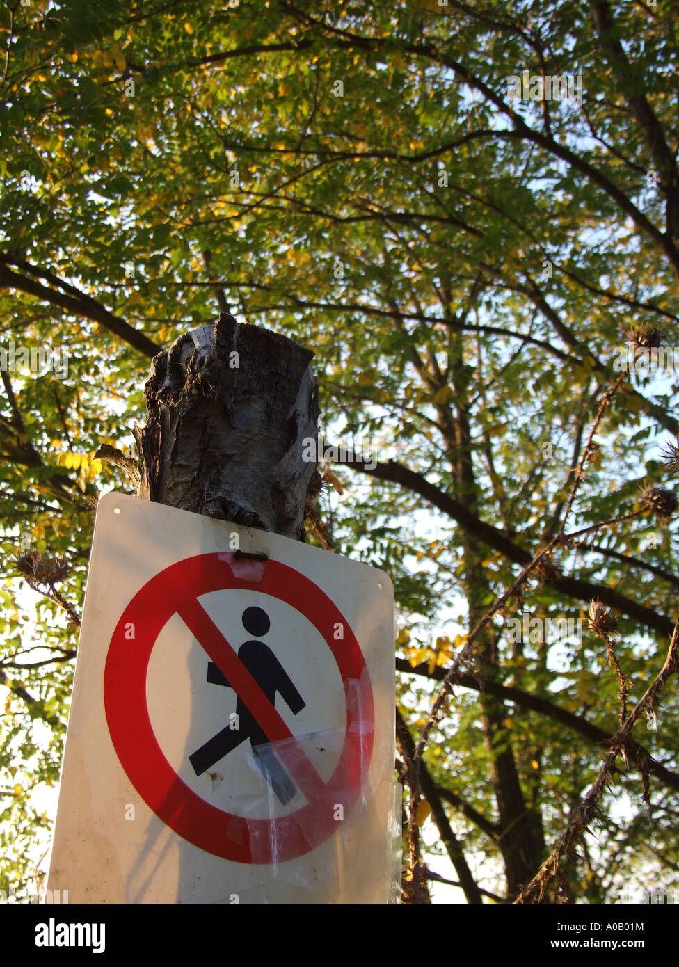 no entry sign in country Stock Photo - Alamy