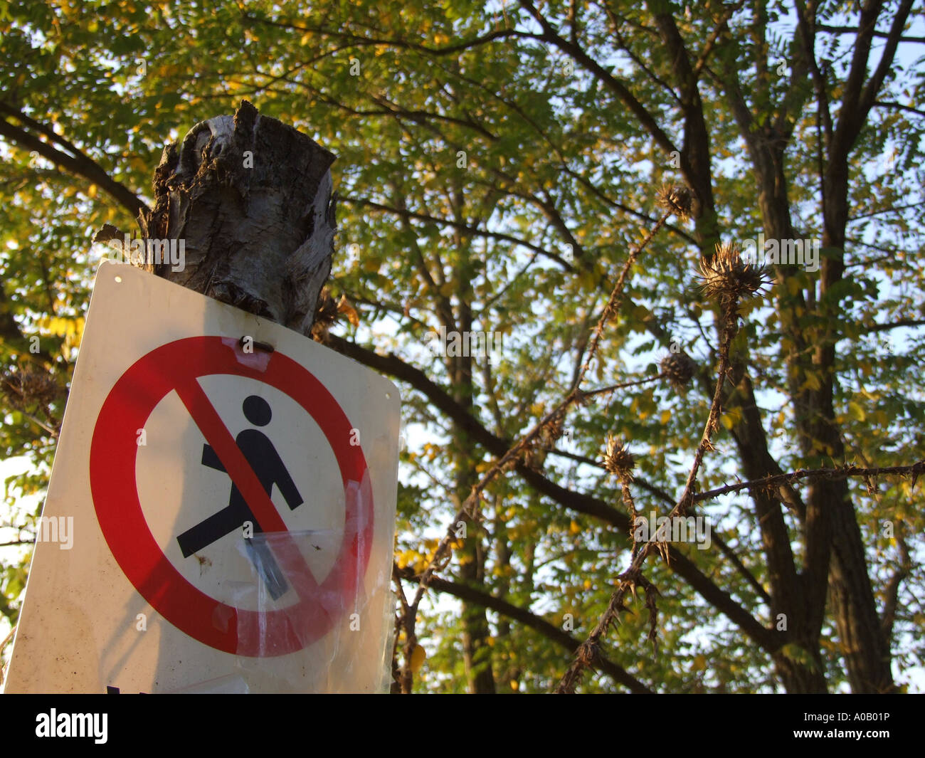 no entry sign in country Stock Photo - Alamy
