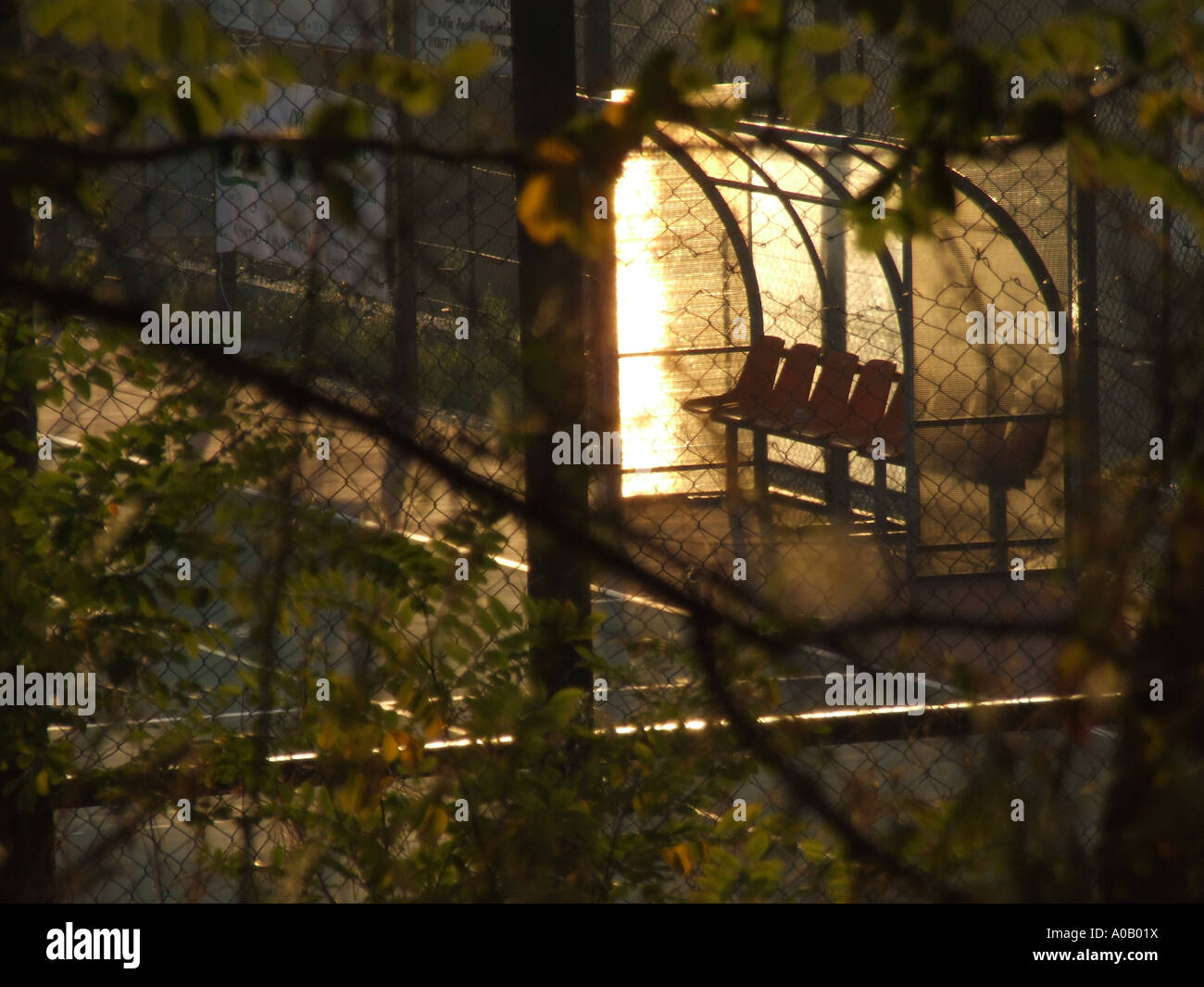 Sport football manager dugout hi-res stock photography and images - Alamy