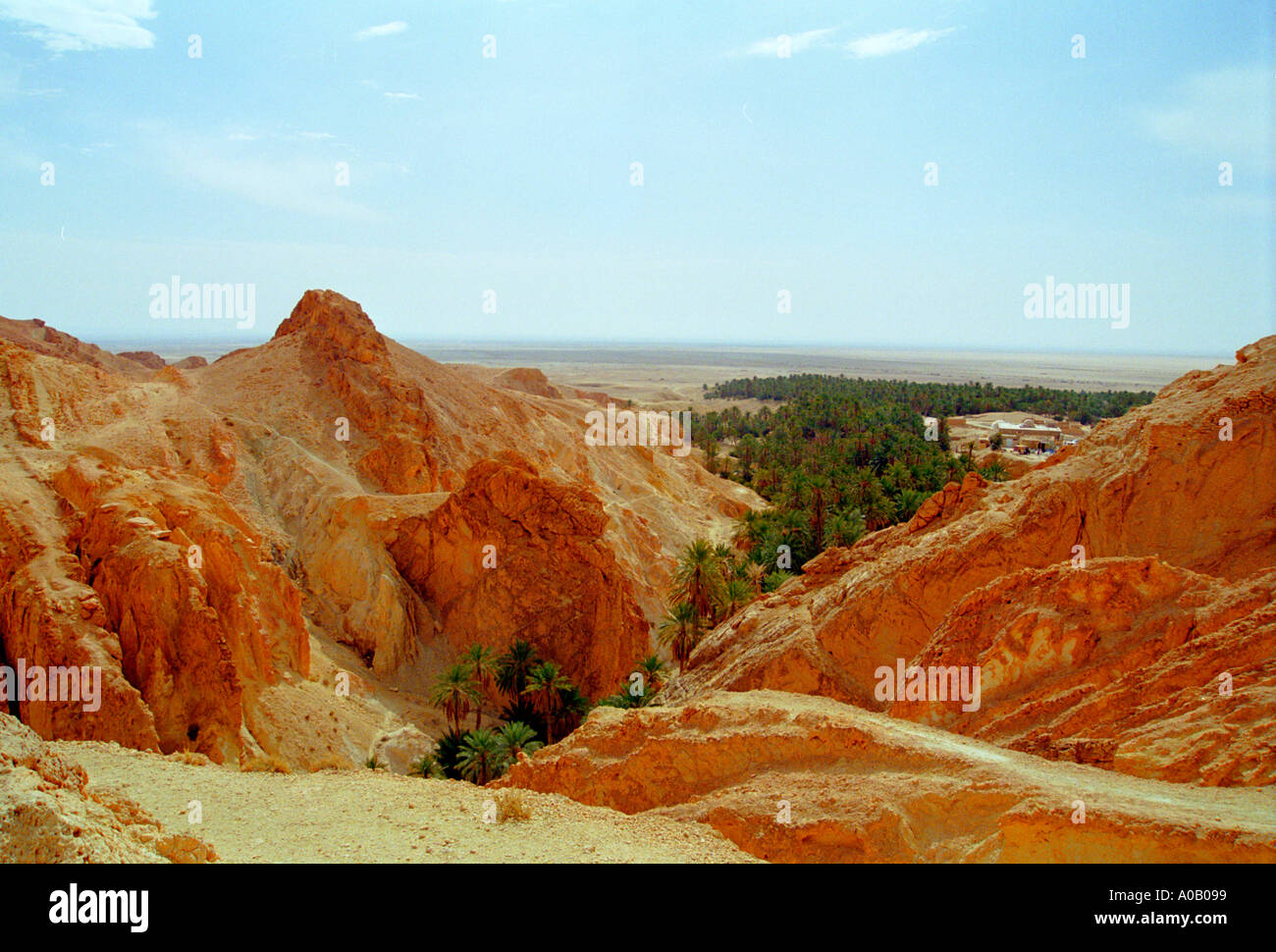 Desert oasis Tunisia 1007 Stock Photo - Alamy