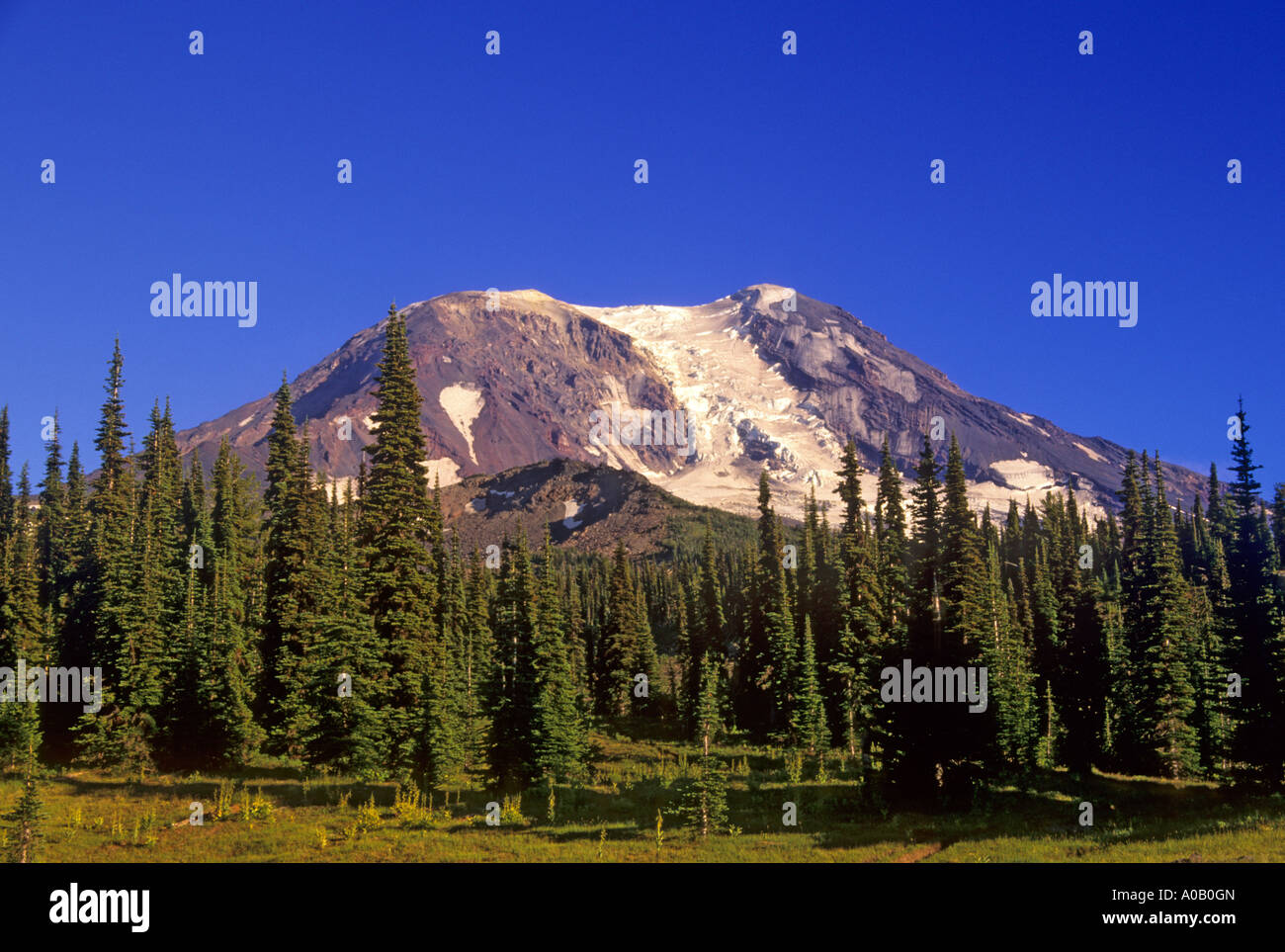 Adam’s peak hi-res stock photography and images - Alamy