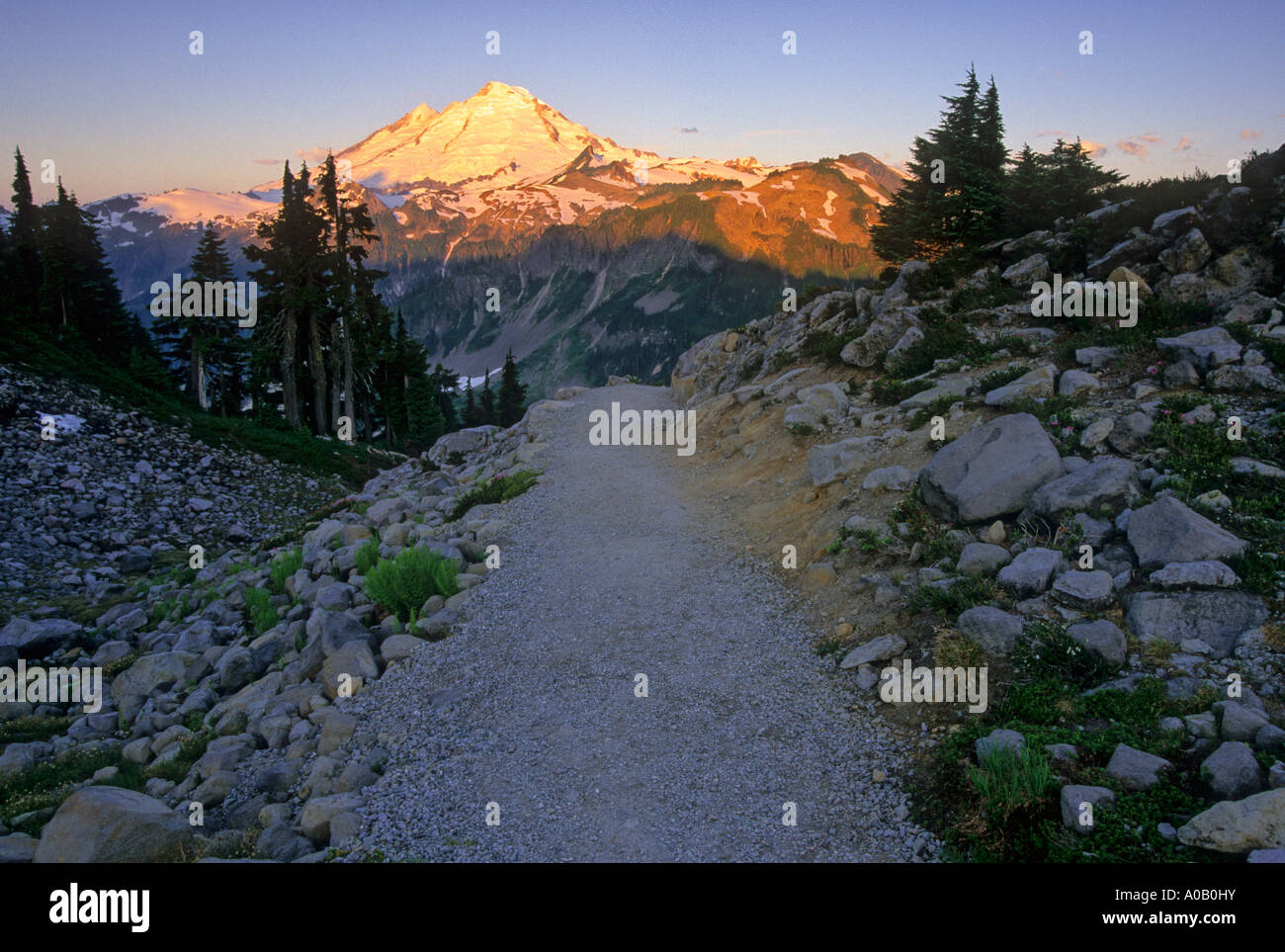 Artist Ridge Trail and Mount Baker in the Mount Baker Snoqualmie ...