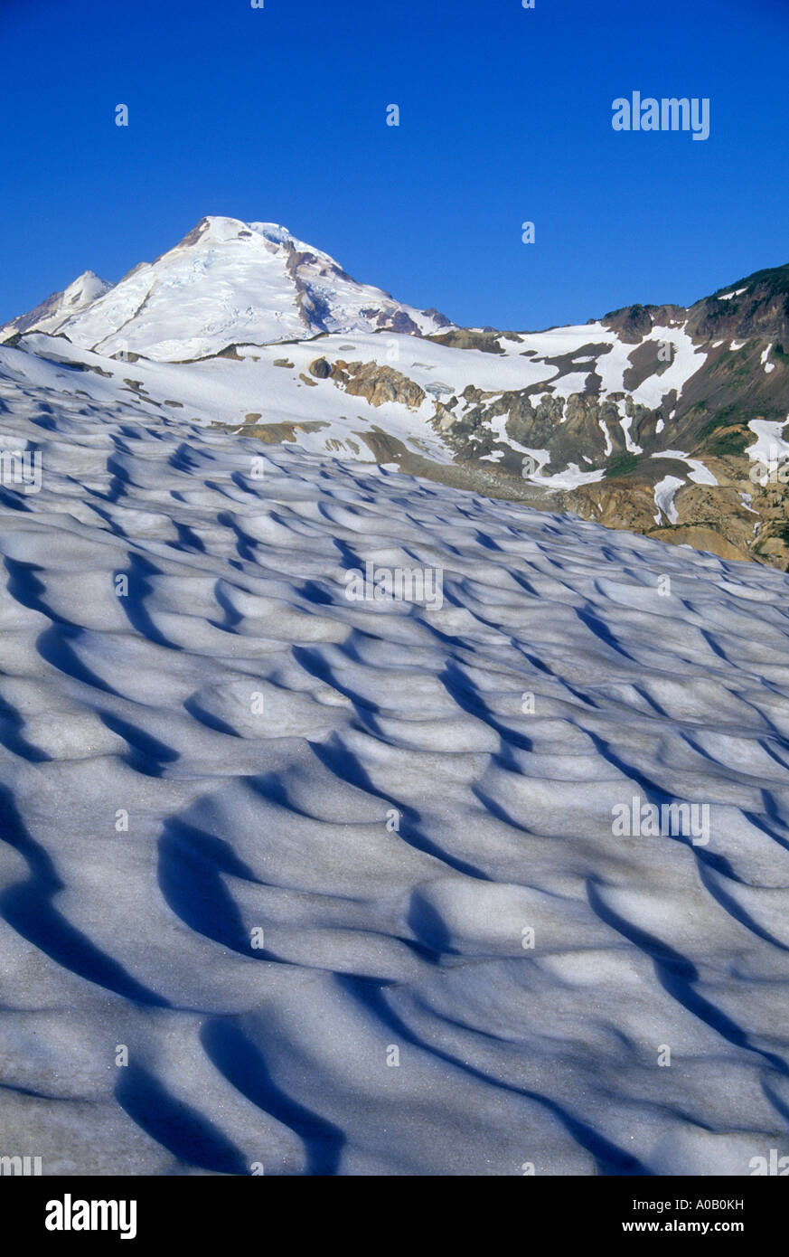 Snow fields below Mount Baker in the Mount Baker Snoqualmie National ...