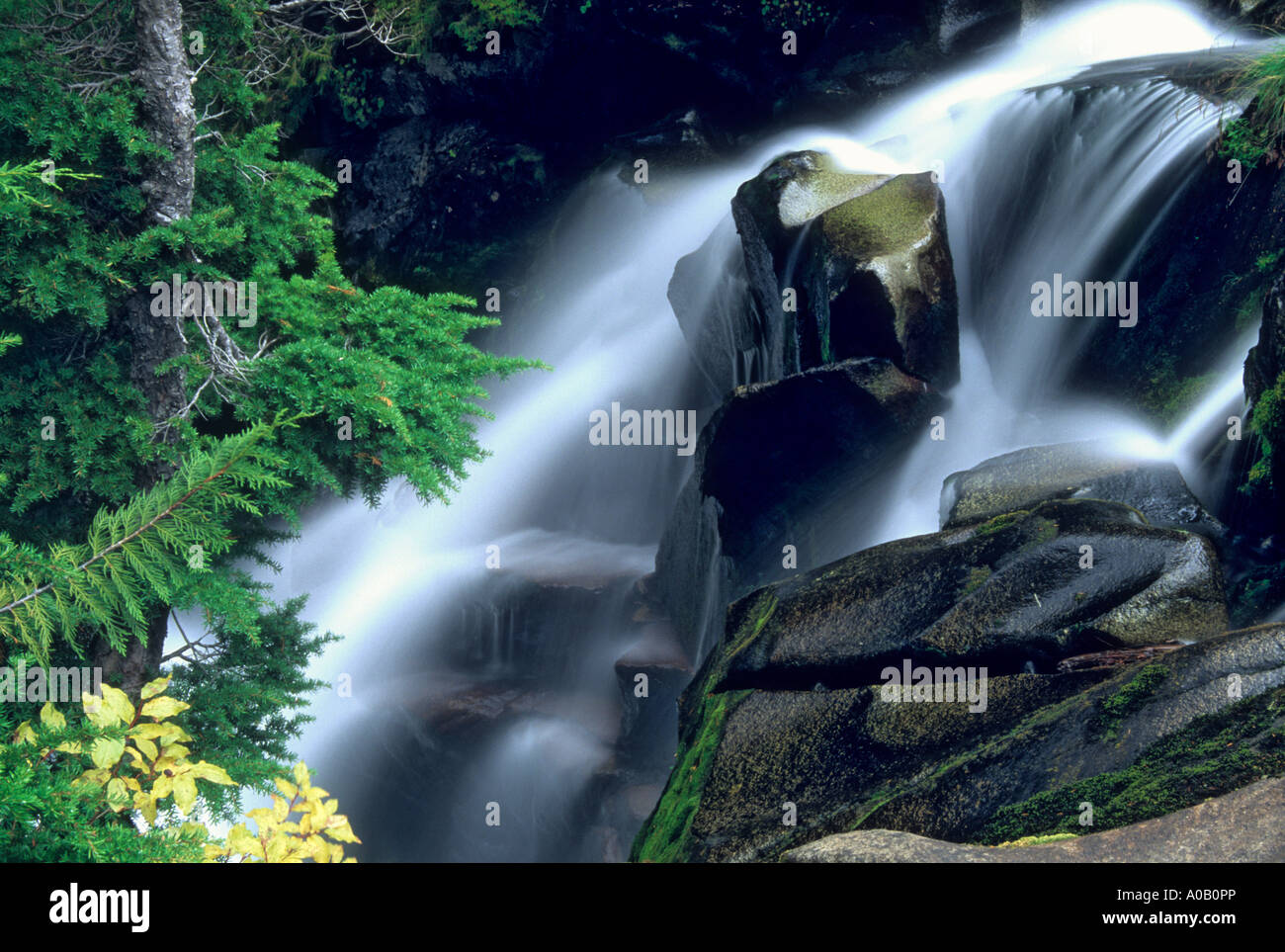 Waterfall on Paradise River in Mount Rainier National Park, Cascade ...