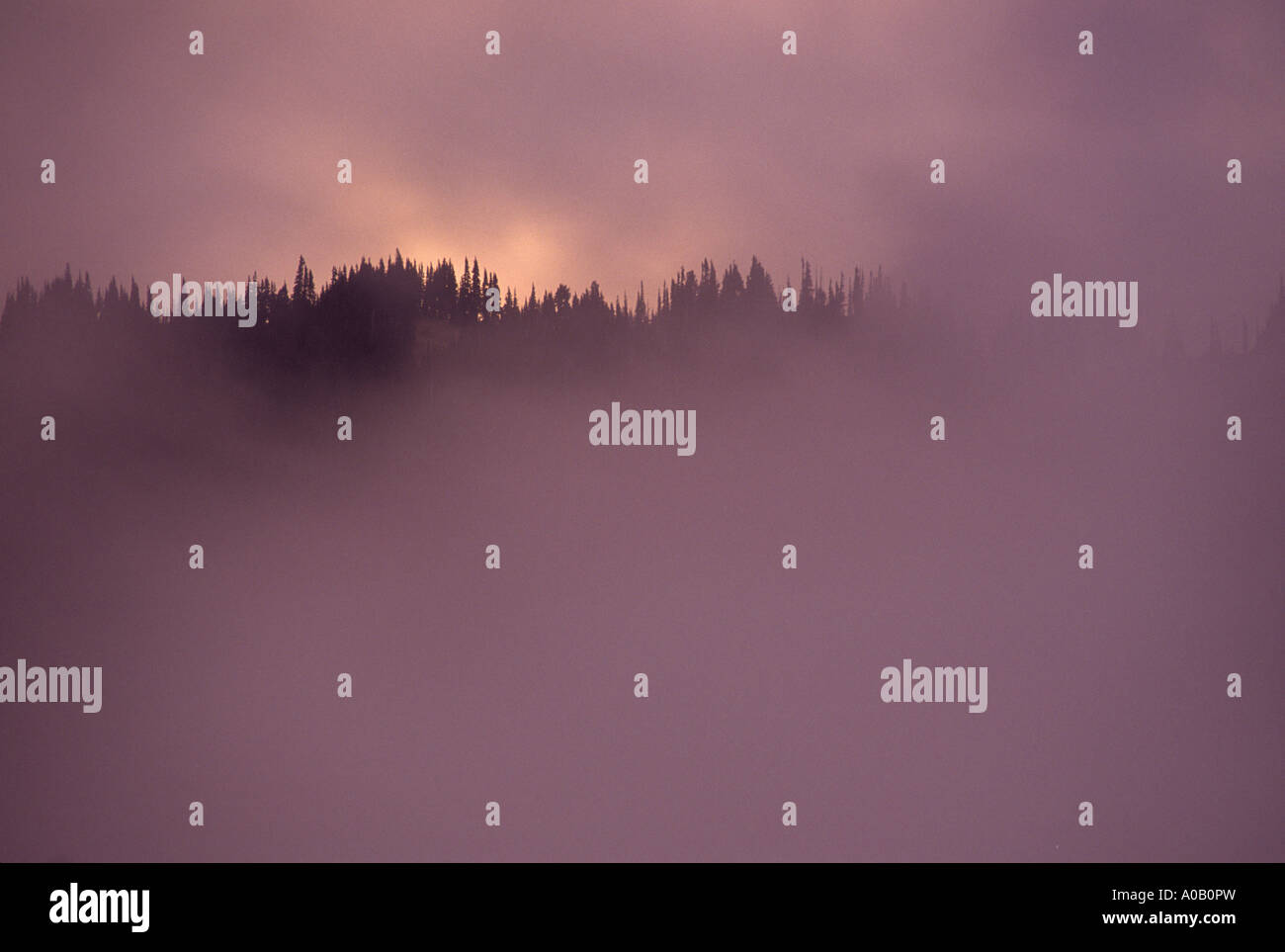 Storm clouds on the ridges above Stevens Canyon in Mount Rainier ...