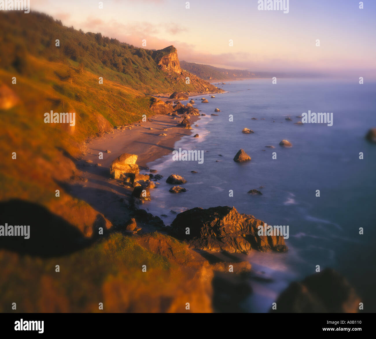 Redwood National Park California USA Stock Photo - Alamy