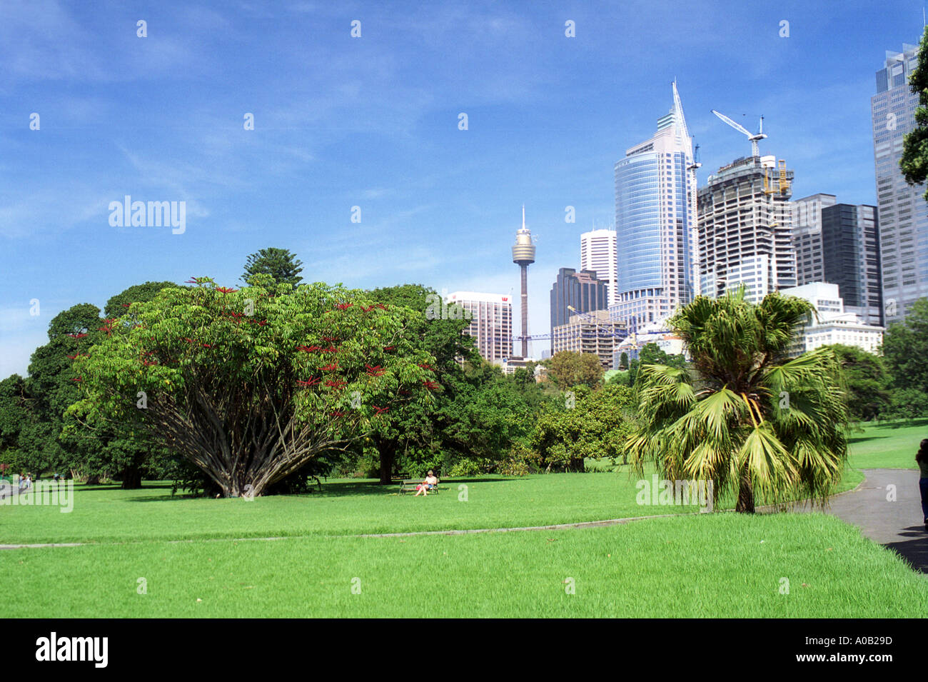Botanic Gardens Sydney Australia Stock Photo - Alamy