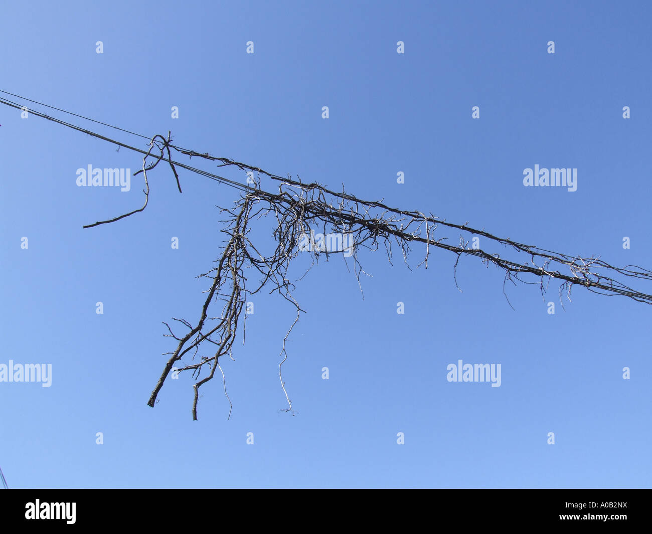 tangled net at sports centre Stock Photo - Alamy