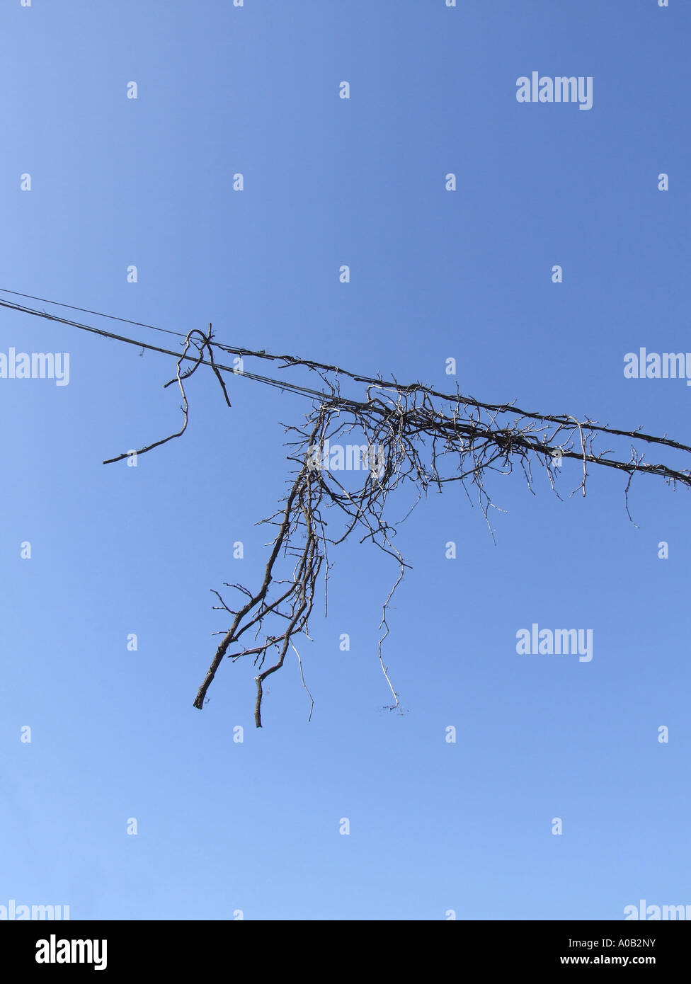 tangled net at sports centre Stock Photo - Alamy