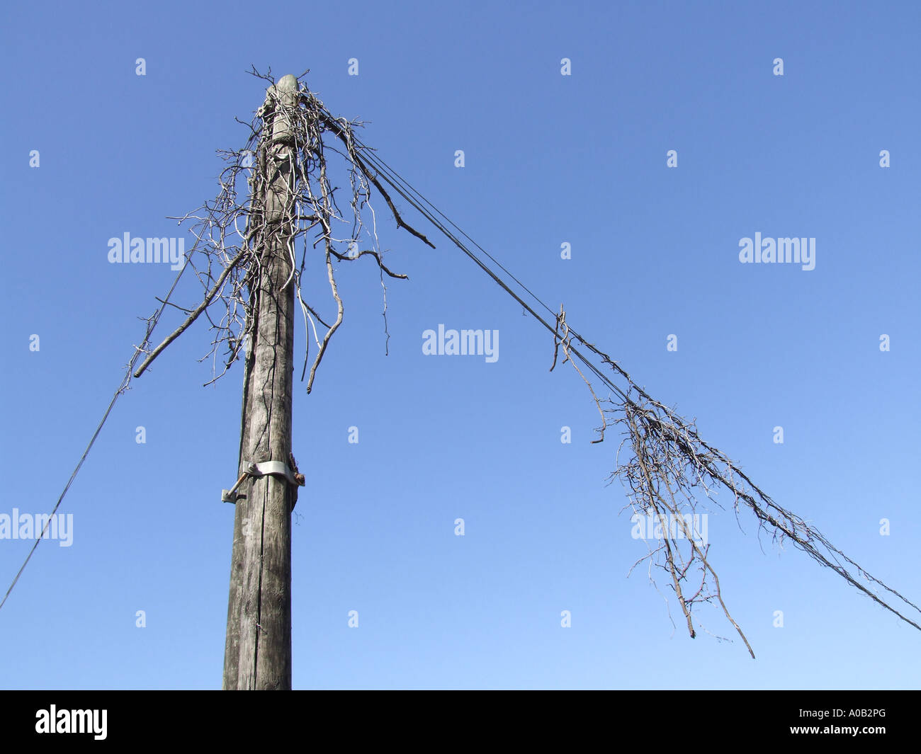 tangled net at sports centre Stock Photo - Alamy