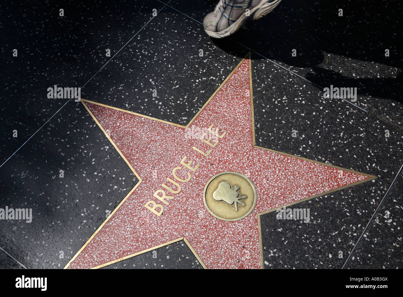 Bruce stern hi-res stock photography and images - Alamy