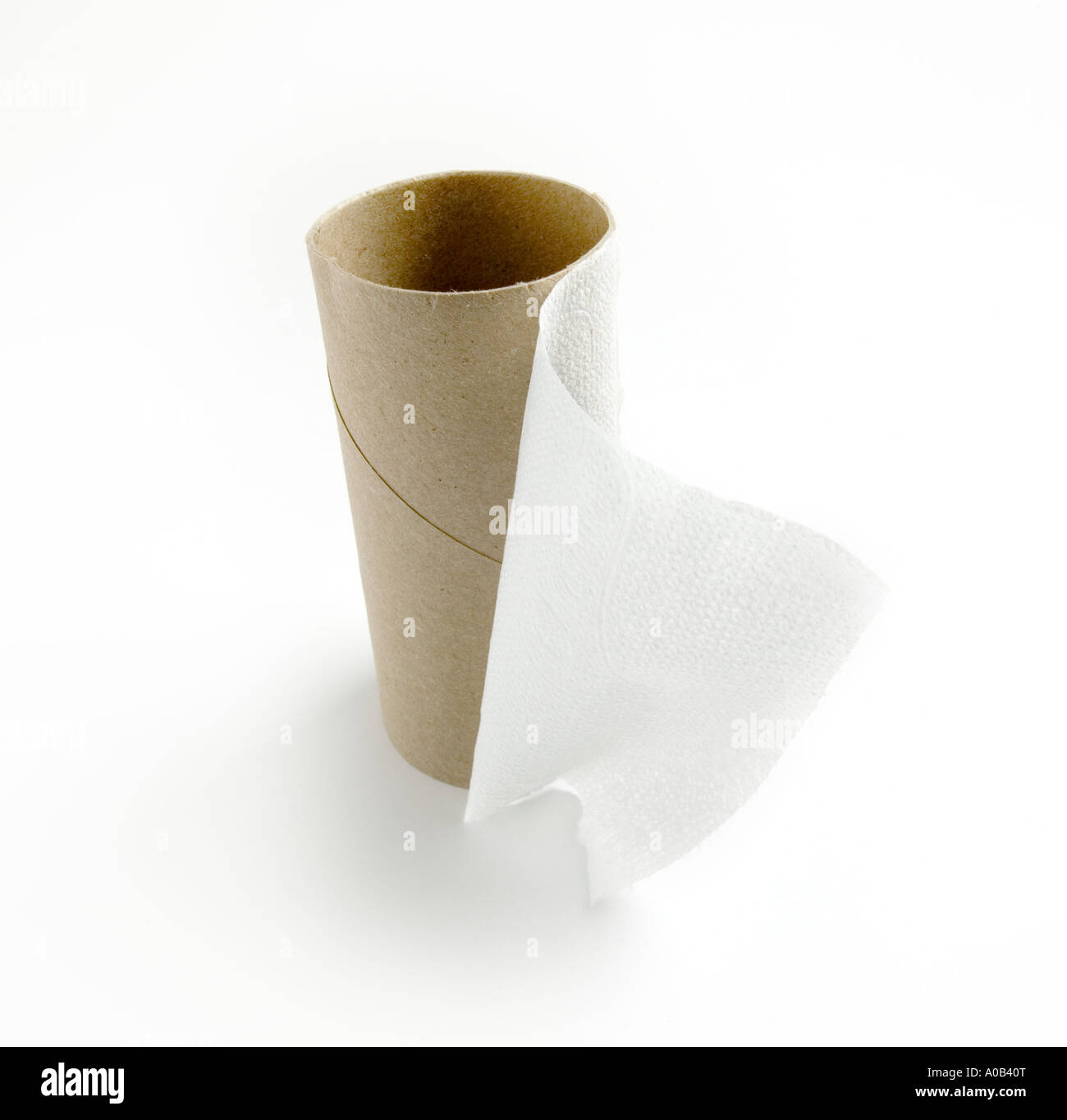 white background; cut out; toilet roll; toilet paper; toilet tissue ...