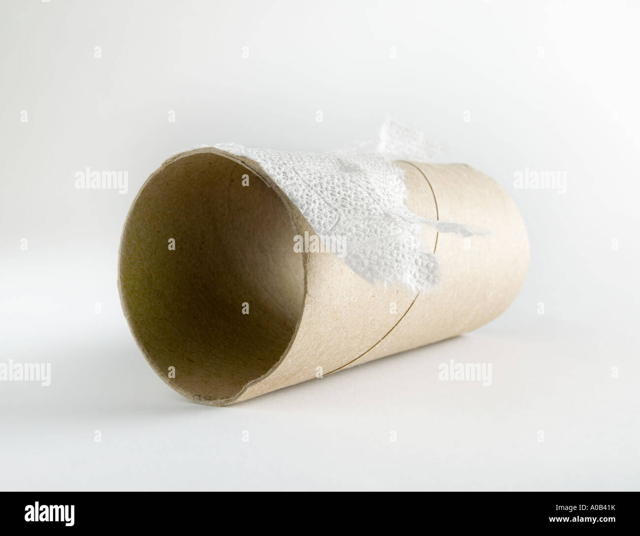 white background; cut out; toilet roll; toilet paper; toilet tissue ...