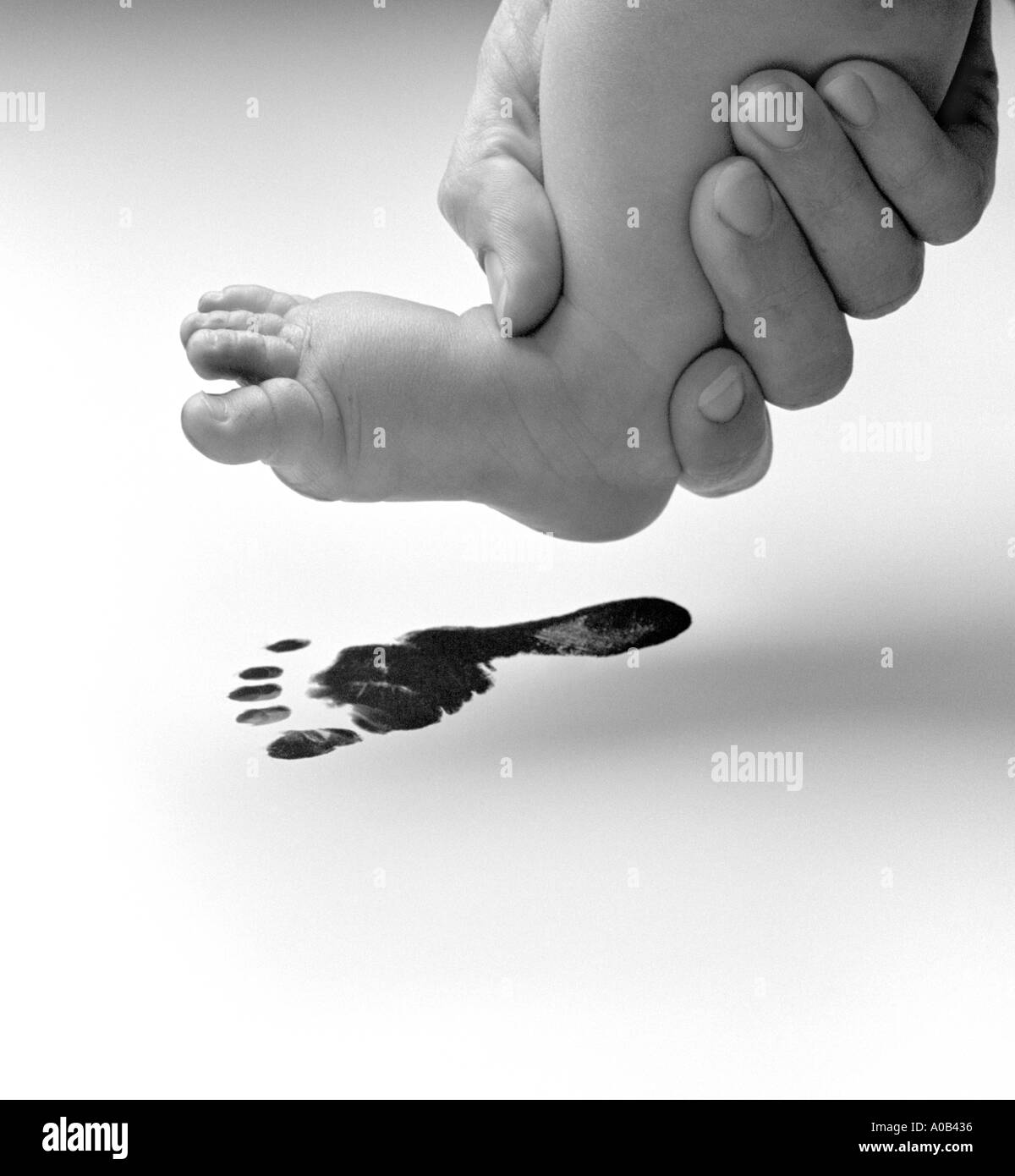 Baby identification Black and White Stock Photos & Images - Alamy
