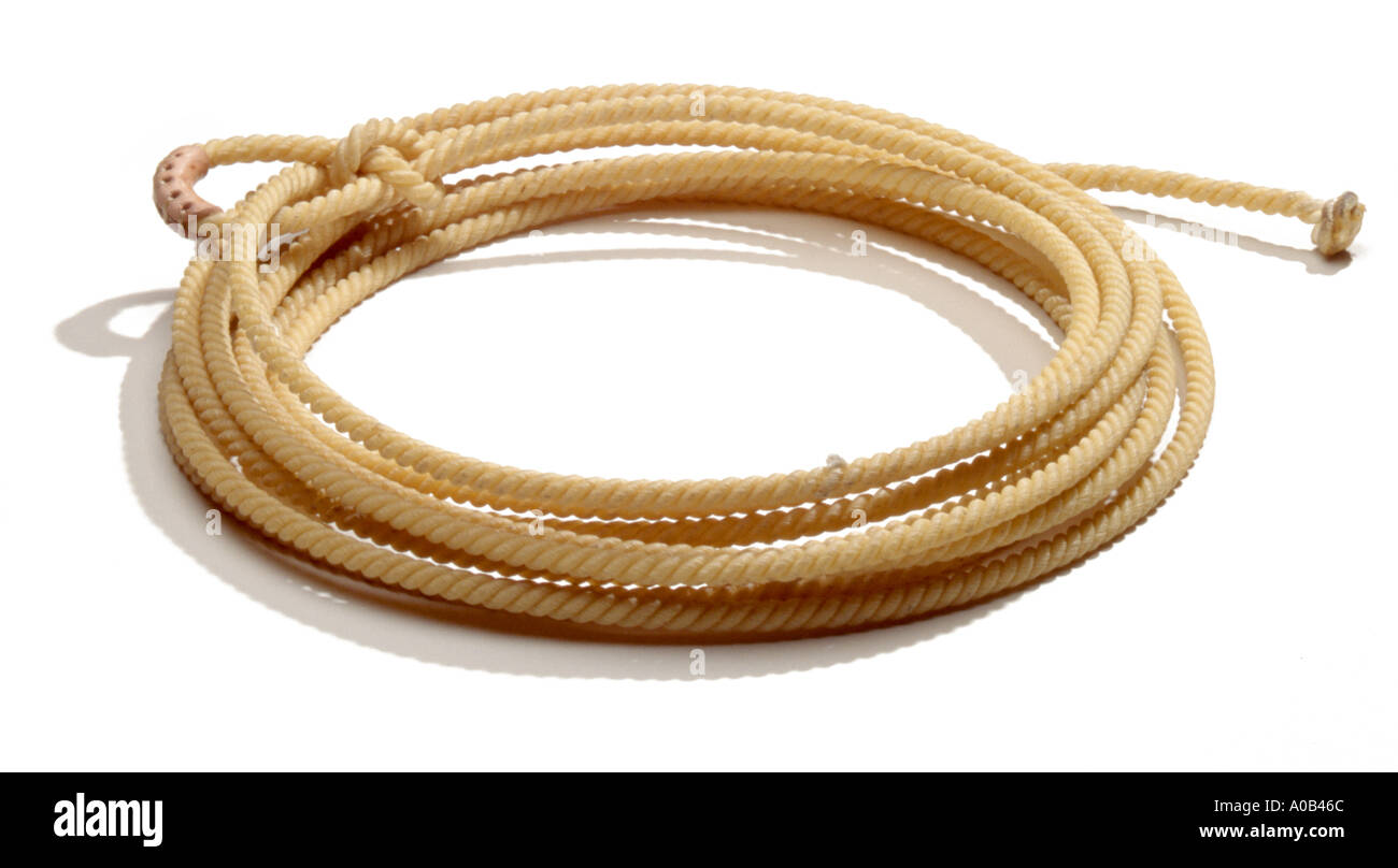 Rope cattle hi-res stock photography and images - Alamy