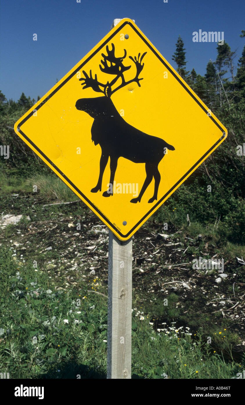 Caribou warning sign hi-res stock photography and images - Alamy
