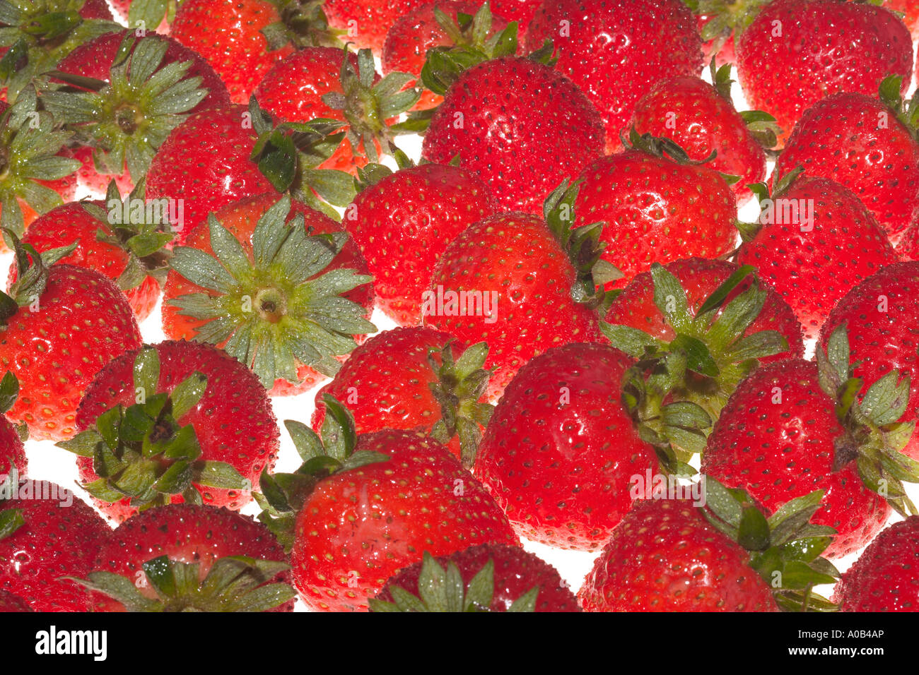 Horizontal strawberries hi-res stock photography and images - Alamy