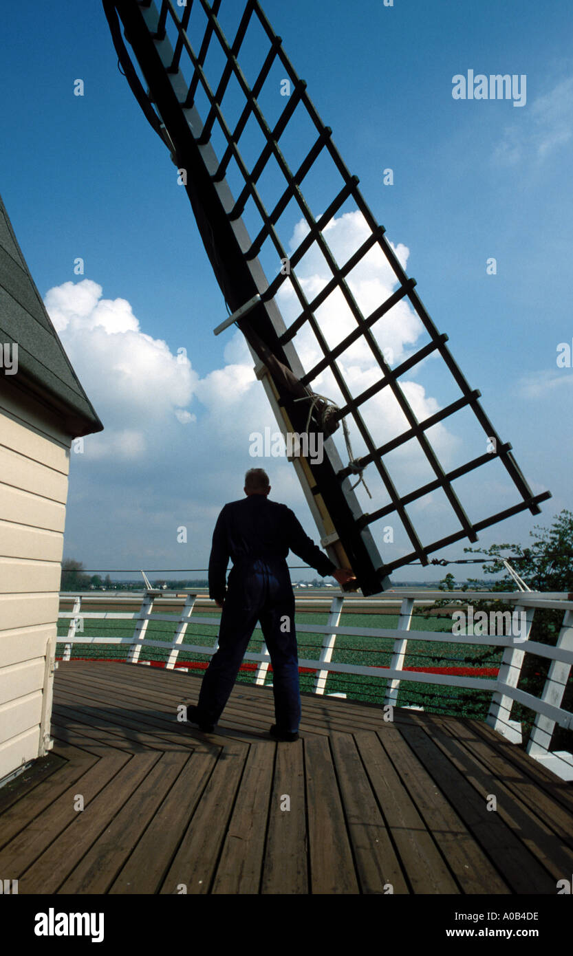 Miller at work on the mill Stock Photo - Alamy