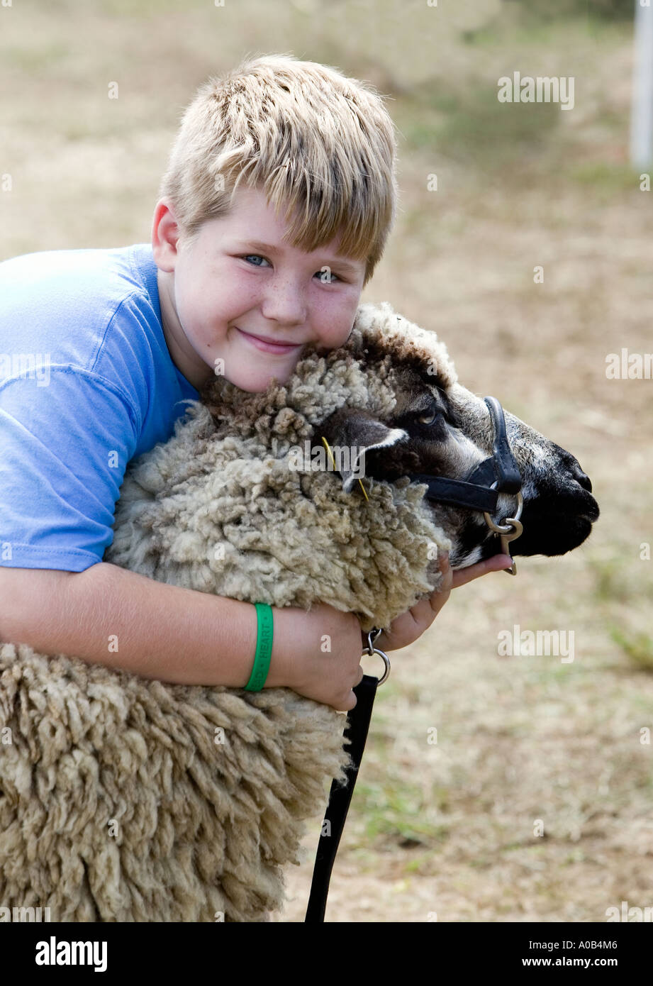Portrait Caucasian boy with pet sheep Stock Photo - Alamy