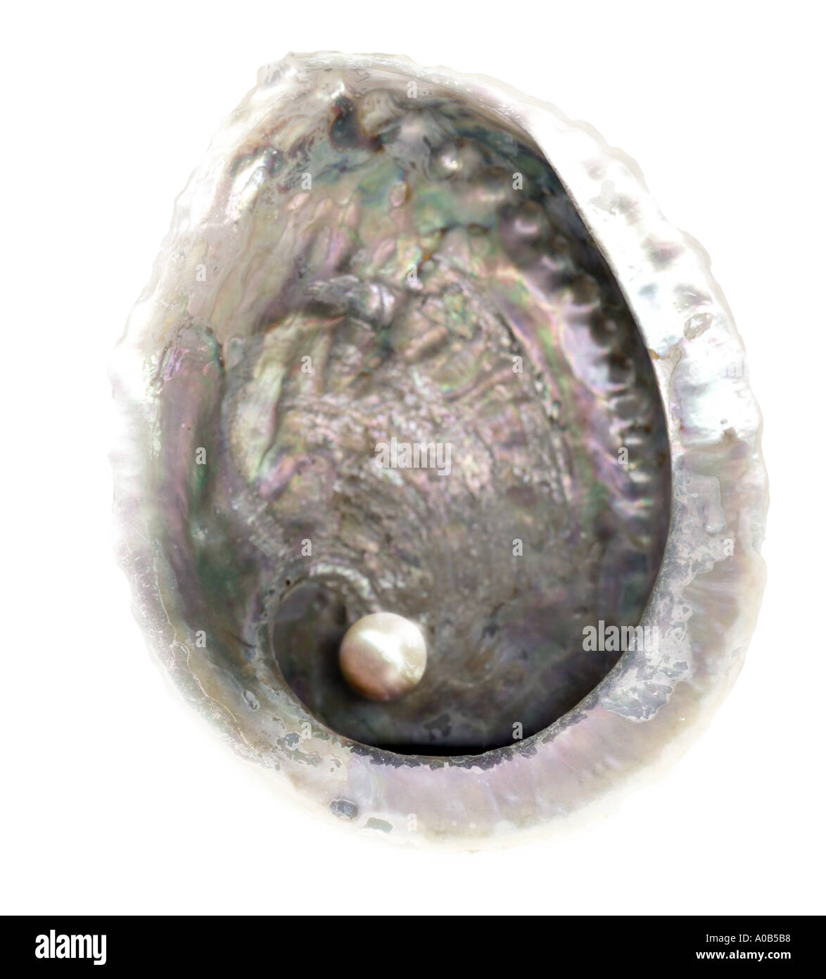 Precious pearl hi-res stock photography and images - Alamy