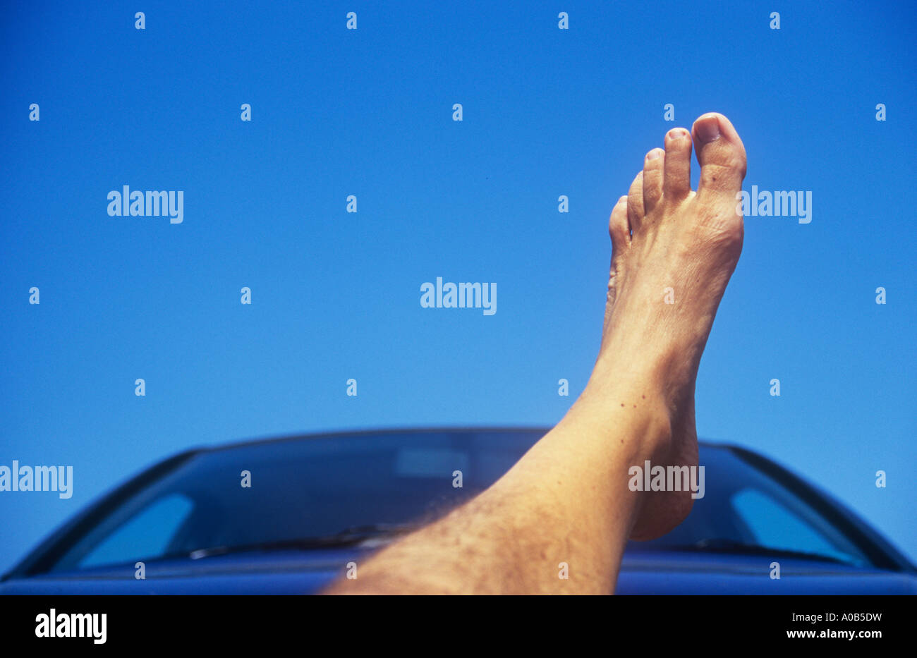 Hairy man feet hi-res stock photography and images - Alamy