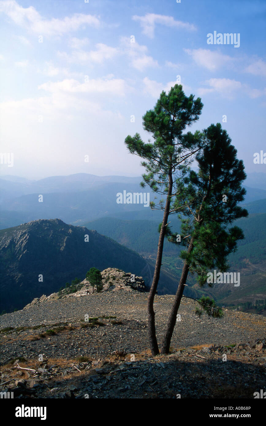 Alvão natural park portugal hi-res stock photography and images - Alamy
