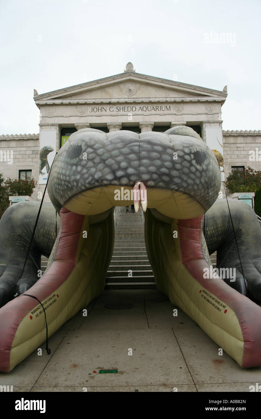 giant inflatable lizard outside entrance of John G Shedd Aquarium ...