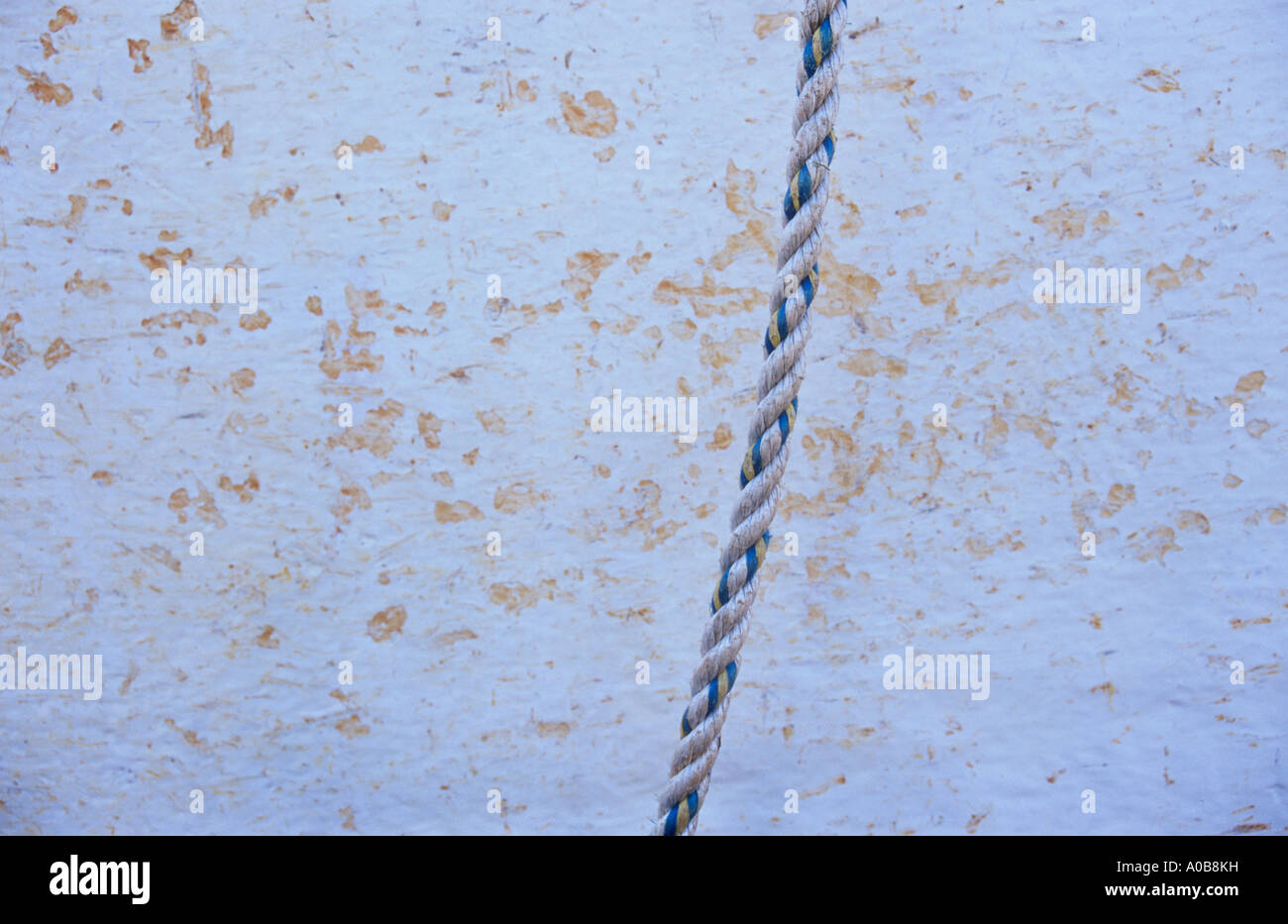 Bisection hi-res stock photography and images - Alamy