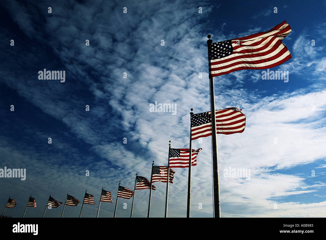 American flags blowing Stock Photo - Alamy
