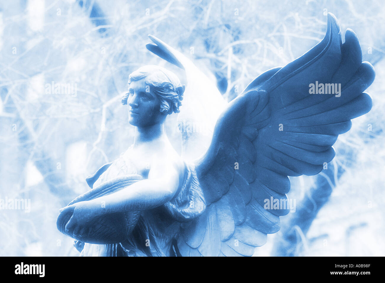 Anatomy of an angel hi-res stock photography and images - Alamy