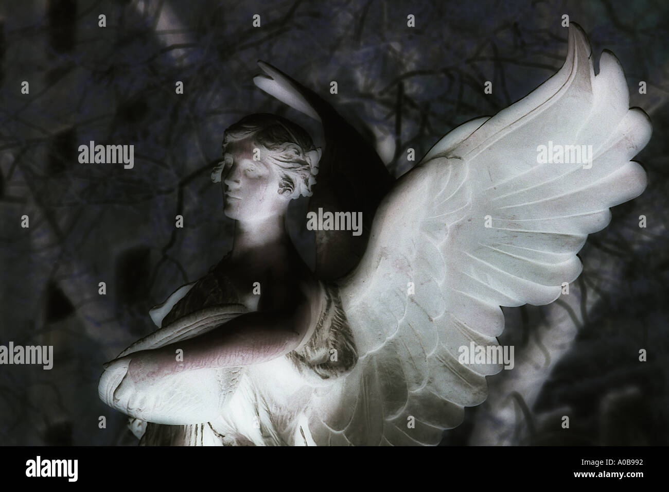 1 winged angel hi-res stock photography and images - Alamy