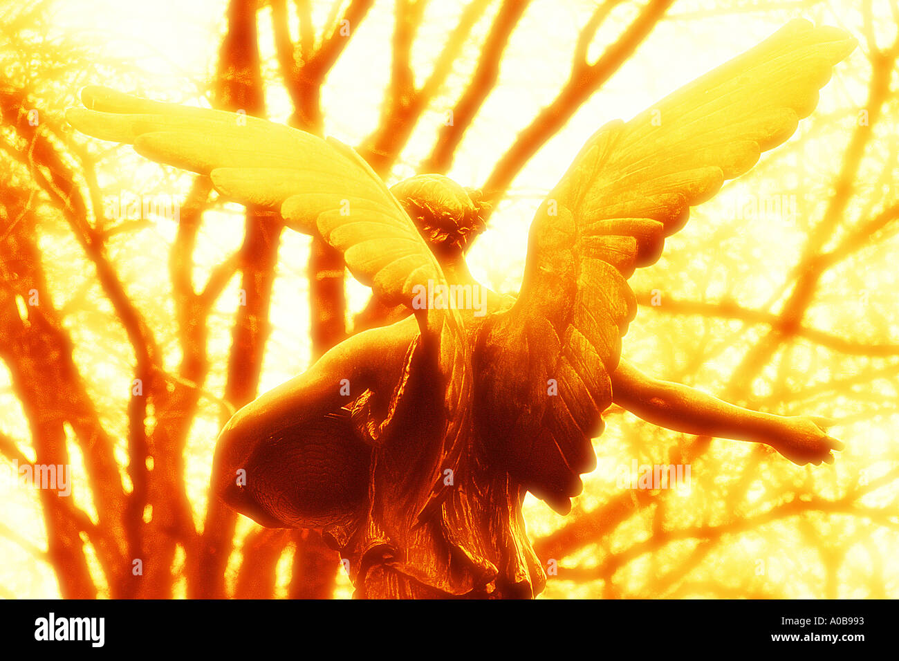 back view of carved angel Stock Photo - Alamy