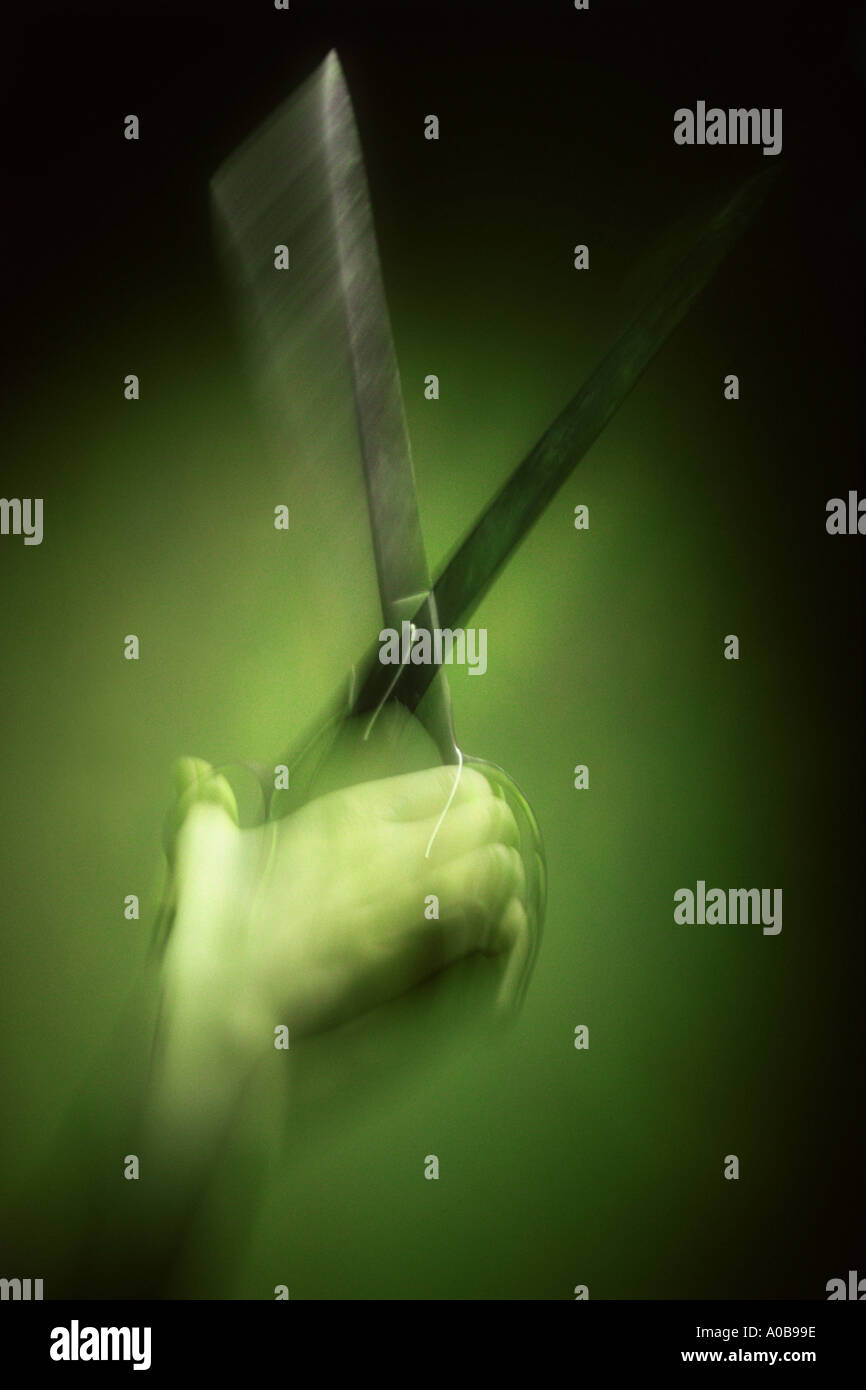 hand with scissors in motion Stock Photo - Alamy