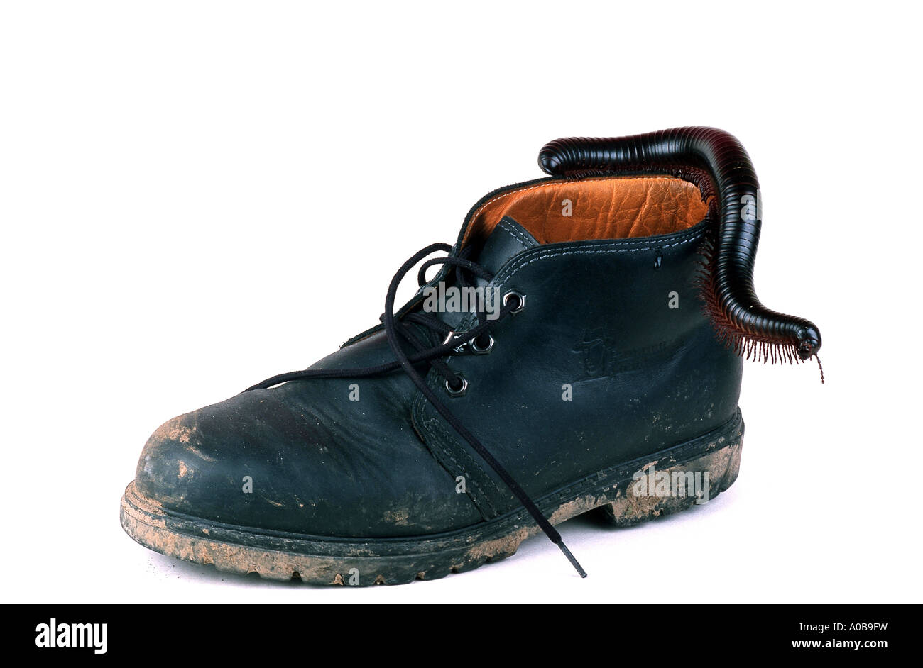 Comic shoe Cut Out Stock Images & Pictures - Alamy