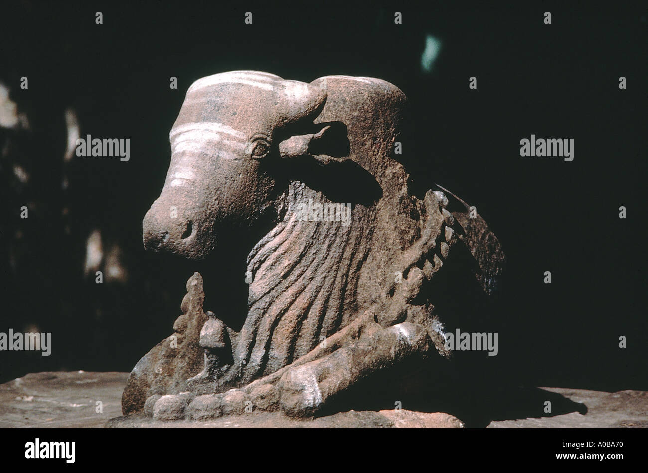 Nandi photos hi-res stock photography and images - Alamy
